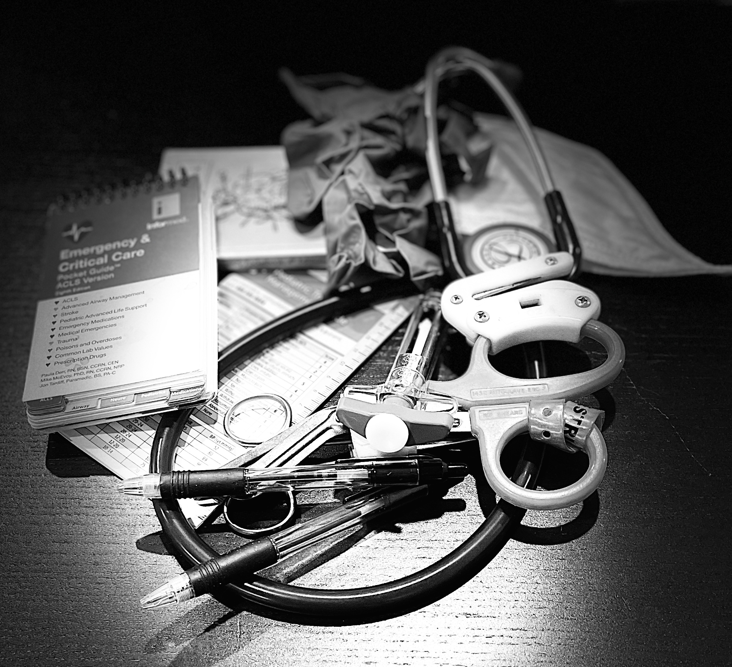 About Nitty Gritty Nursing – The Nitty Gritty Nurse Educator